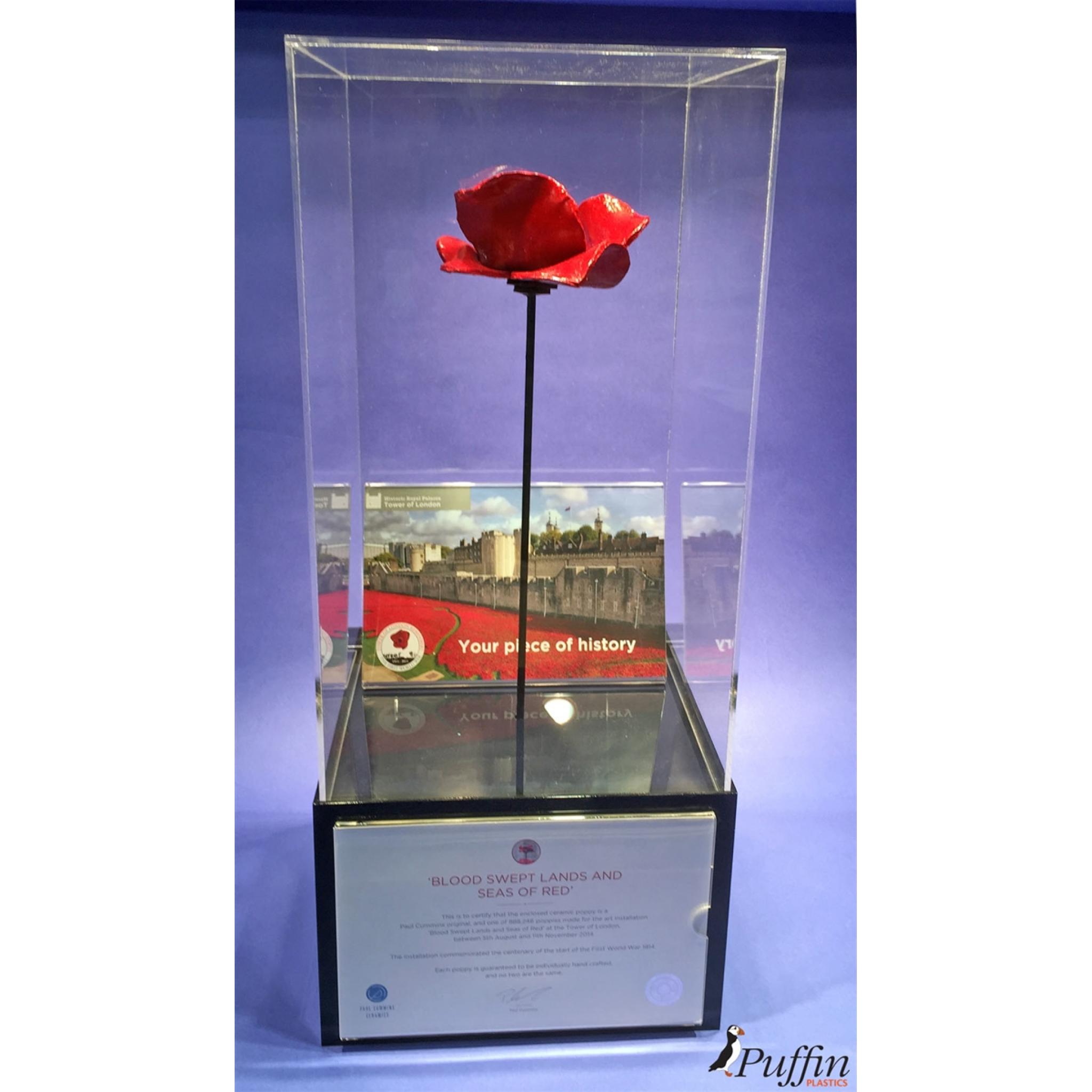 Poppy Display Case (WITH STEM) | Puffin Plastics