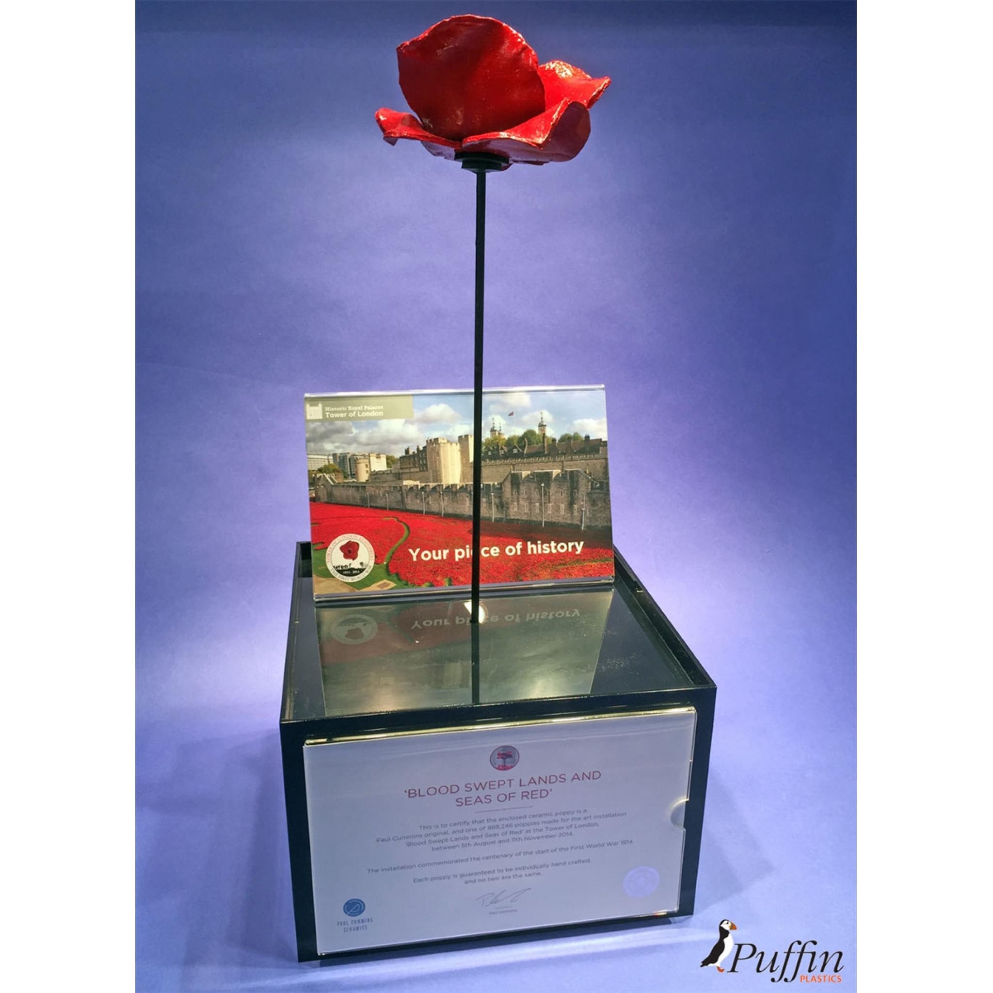 Poppy Display Case (WITH STEM) | Puffin Plastics