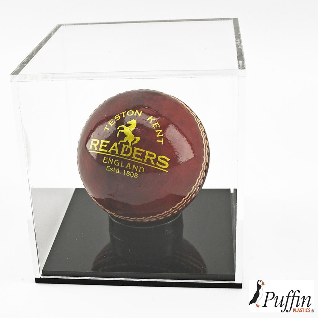 Cricket Ball, Tennis Ball or Baseball Display Case - Colour Base ...