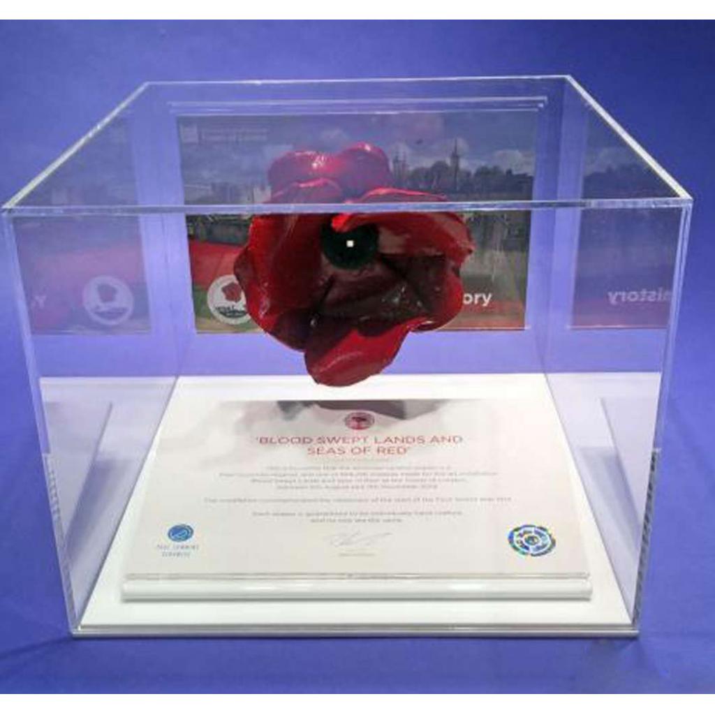 Poppy Display Case - White | Puffin Plastics
