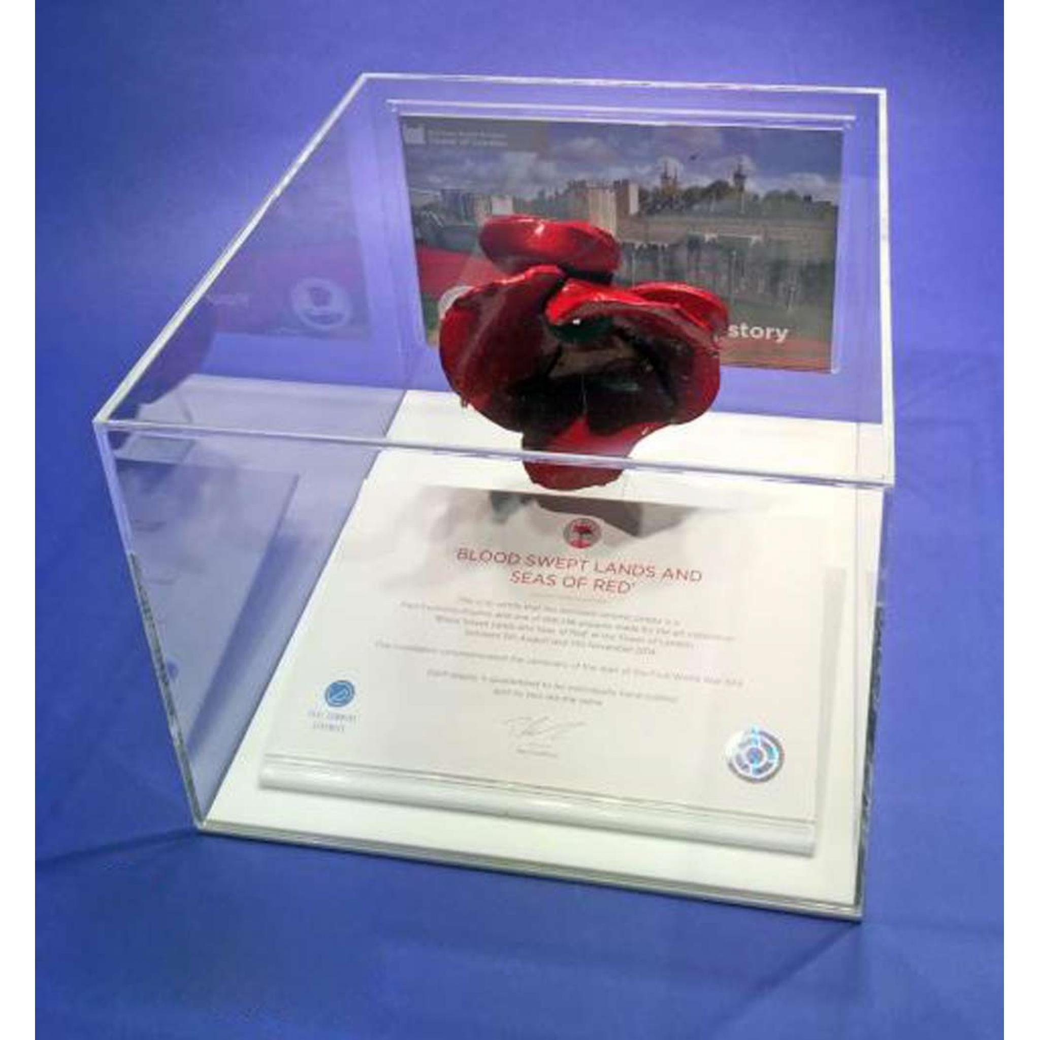 Poppy Display Case - White | Puffin Plastics