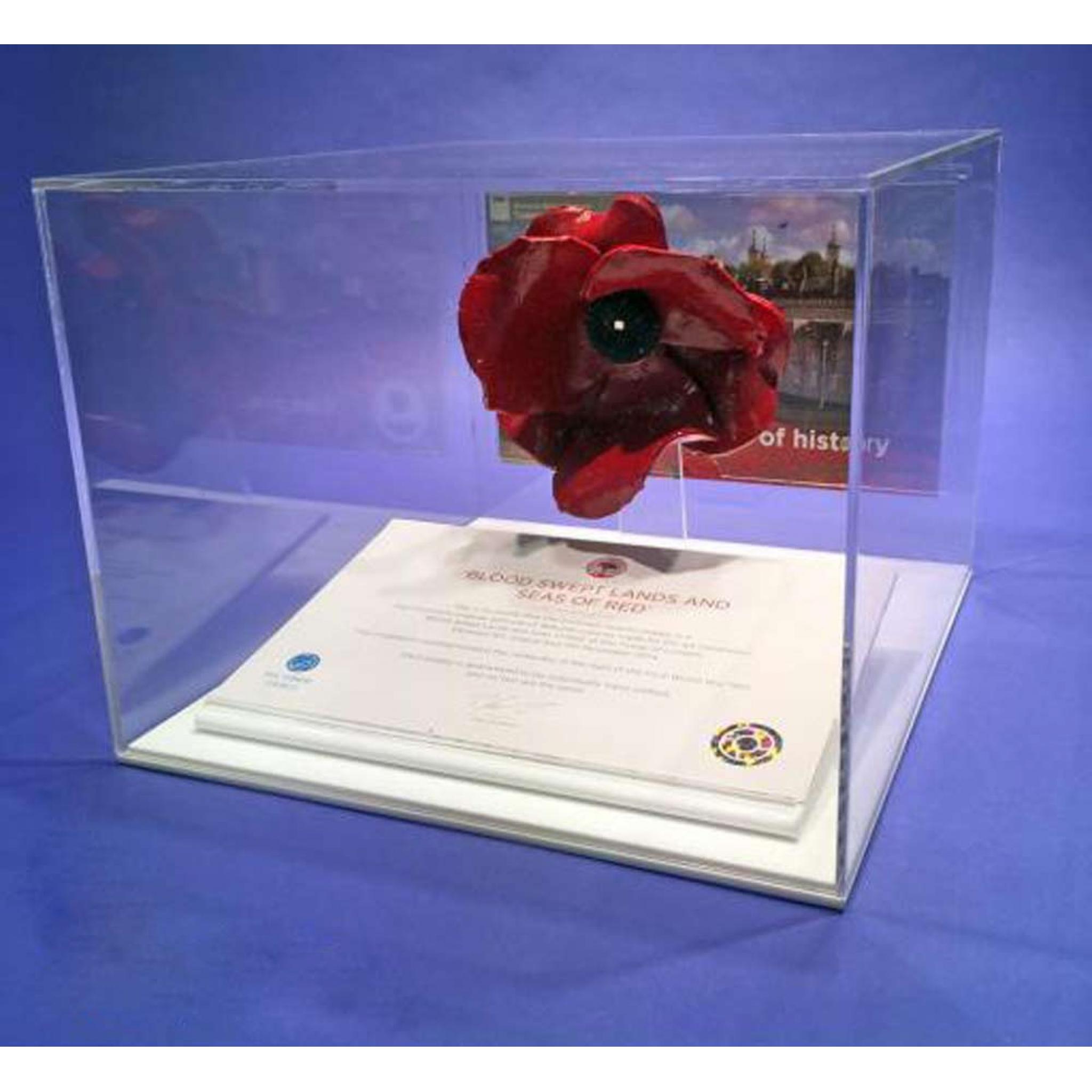 Poppy Display Case - White | Puffin Plastics